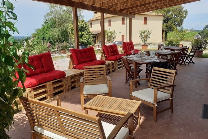 4 Wines & 2 Olive Oils Tasting in Chianti Winery with Tour - The Sum Up