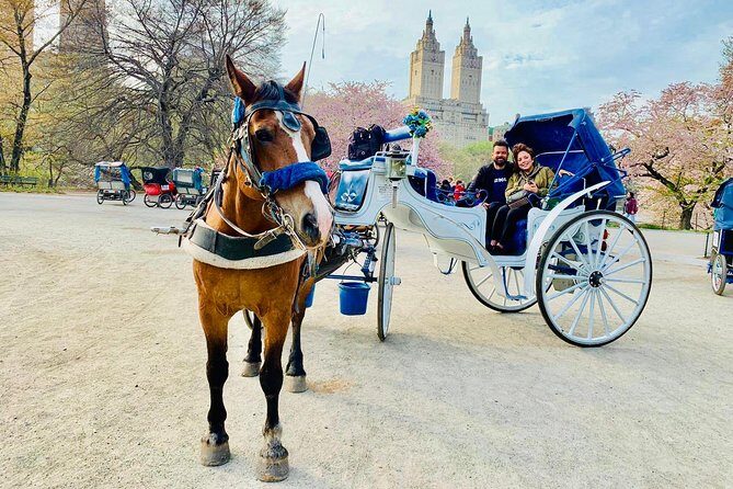 45 min Long VIP Central park carriage ride - Why Choose a Central Park Carriage Ride?