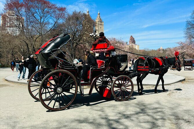 45 min Long VIP Central park carriage ride - How the Experience Looks Throughout the Tour