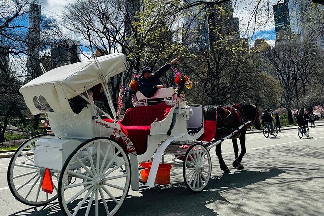 45 min Long VIP Central park carriage ride - Practical Tips for Booking and Enjoying the Ride