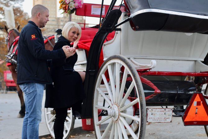 45 Minute VIP Central Park Carriage Ride - A Deep Dive Into the Carriage Ride Experience