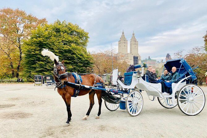 45 Minute VIP Central Park Carriage Ride - Frequently Asked Questions