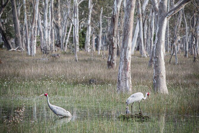 45 Minutes Private Tour at Warrawindi Farms - The Experience from Visitors and Its Unique Value