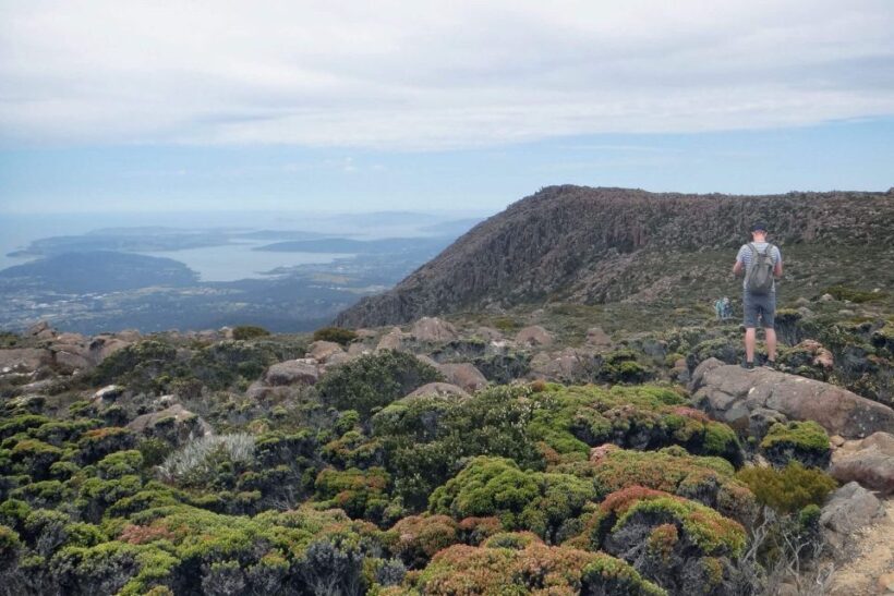 48-Hour Hobart City Loop Tour and Mt Wellington - The Sum Up