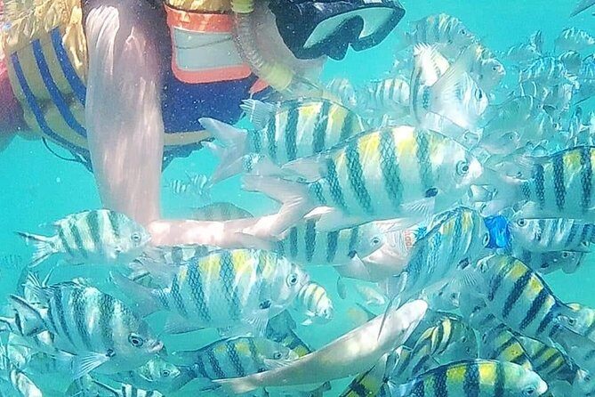 4D/3N (Hotel) Lombok Tour Package - Key Points
