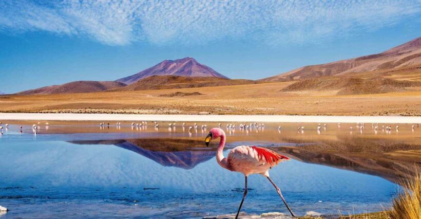 4D/3N SAN PEDRO DE ATACAMA-UYUNI (ROUND TRIP) SHARED SERVICE - Key Points