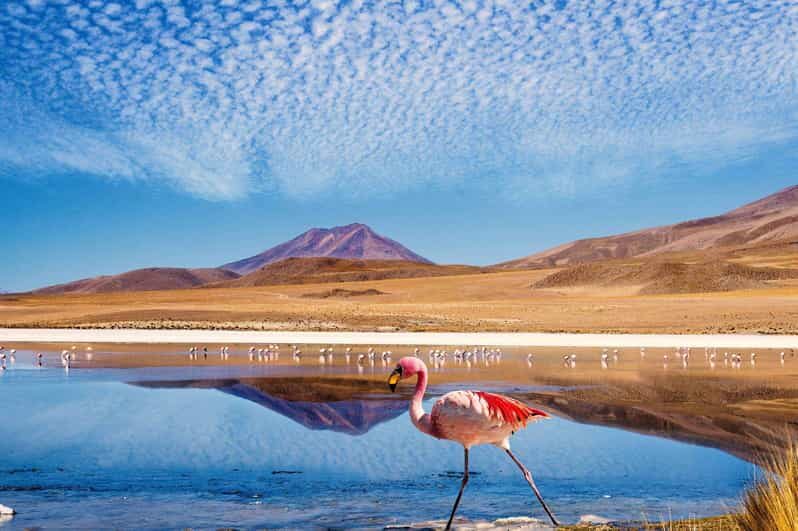 4D/3N SAN PEDRO DE ATACAMA-UYUNI (ROUND TRIP) SHARED SERVICE - Who is This Tour Best For?