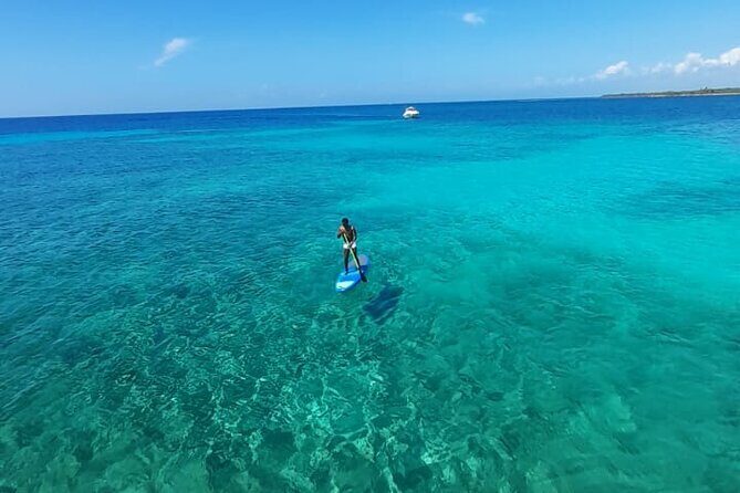 4H Lux 40' Catamaran All-Inclusive in Tulum and Playa del Carmen. - Setting the Scene: What You Can Expect on This Catamaran Tour