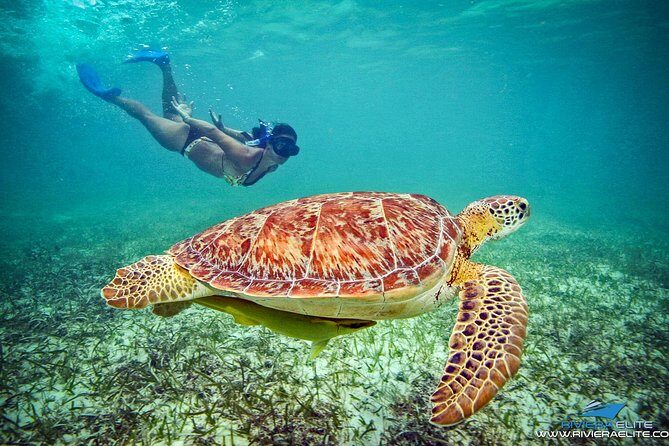 4H Private 38'Catamaran All-Inclusive in Tulum & Playa del Carmen - The Experience: What Travelers Say