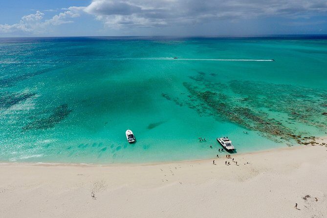 4hour Group Half Day Snorkeling Excursion in Grace Bay - What You Can Expect During the Tour