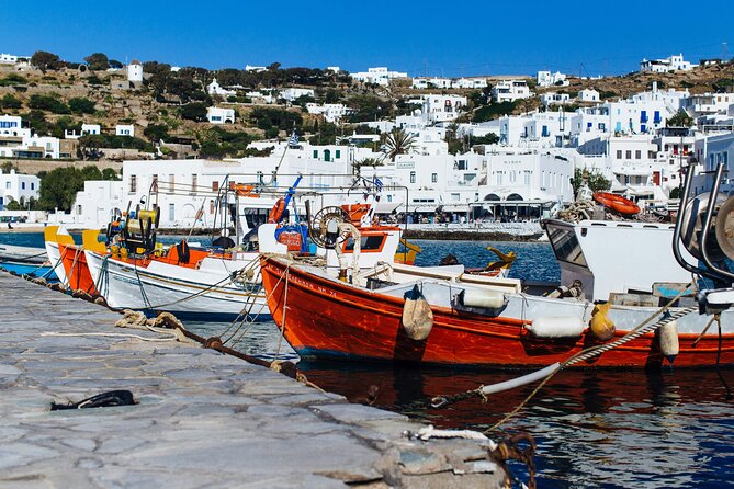 4Hours Mykonos Adventure Walk in Town & Minivan Countryside Tour - What’s Included and What’s Not
