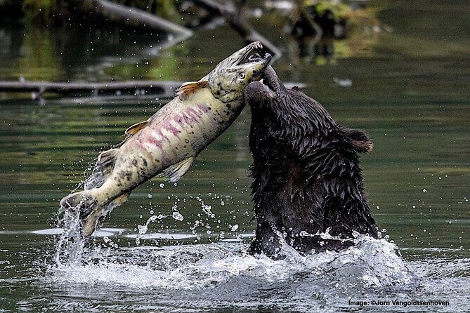 4hr Custom Private Tour of Ketchikan (14 People) Wildlife + More - Key Points