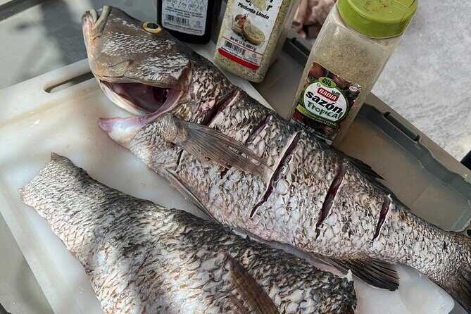 4HR-Halfday Private Fishing Tour in Gracebay - Authentic Experiences and Honest Reviews