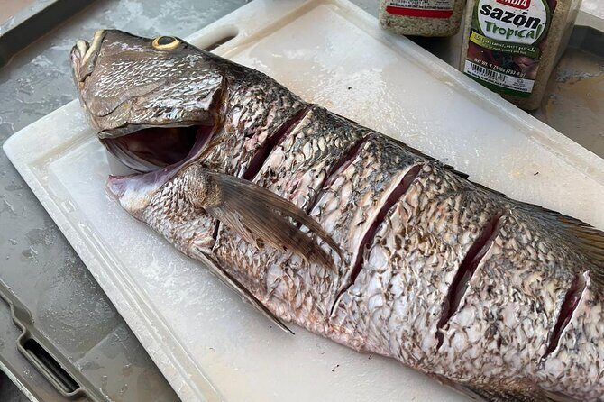 4HR-Private Half-Day Exploration in Gracebay - Who Should Consider This Tour?