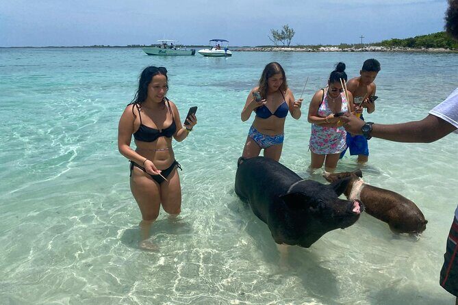 4hr Private Tour Island Hop Snorkel w/ Turtles & Sip Bahama Mamas - Rose Islands Beaches & Water Fun