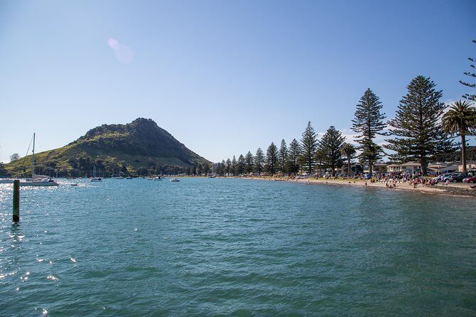 4hr Tauranga Scenic History and Tasting Tour FREE Kiwifruit Tasting - Key Points