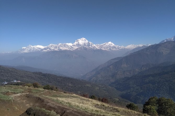 4Nights 5Days PoonHill Trek - Who Is This Tour Best For?