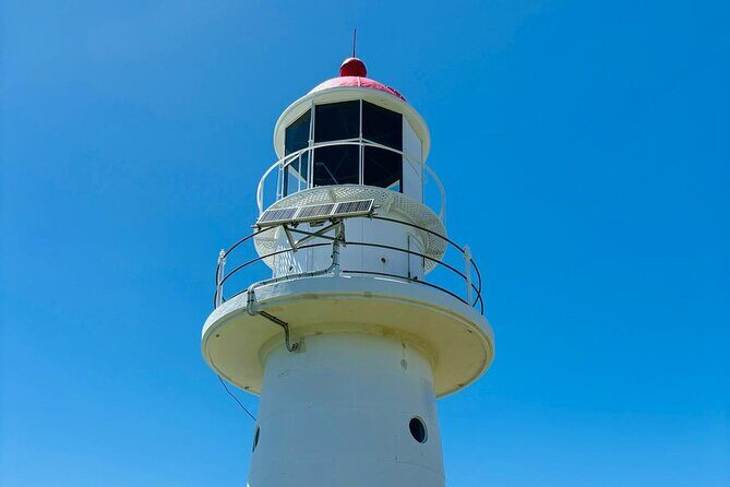4WD Beach and Walking Tour Adventure (Half Day) - FAQ