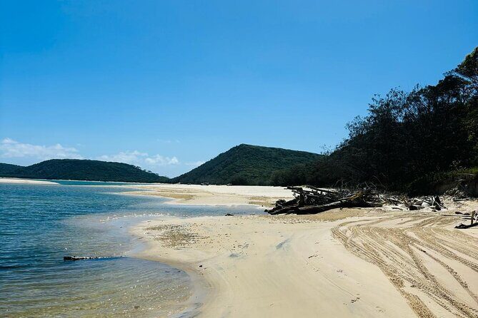 4WD Beach and Walking Tour Double Island Point (Full Day) - What We Love About the Tour