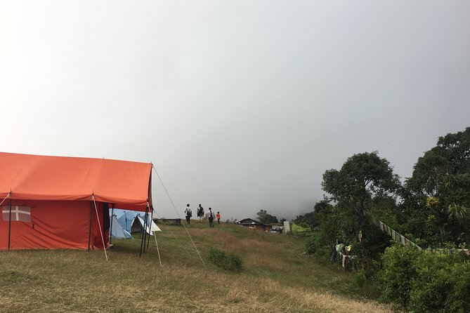 4WD Drive to Dhampus and Easy Hiking to Australian Camp from Pokhara - Authenticity and Reviews