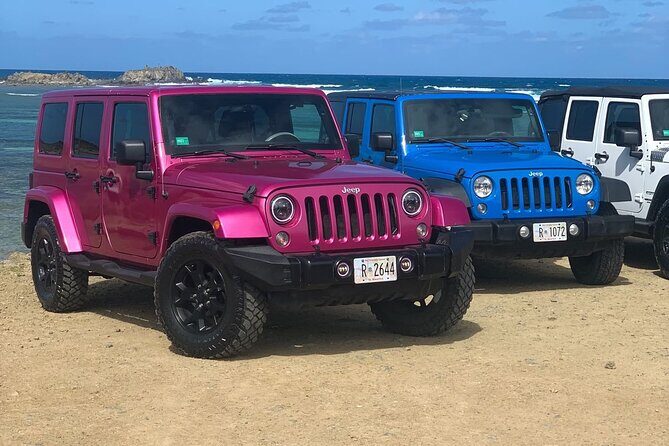 4WD Jeep Safari and Beach Private - A Closer Look at the St. Maarten 4WD Jeep Safari