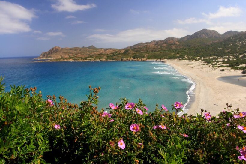 4x4 Agriates Desert and Beach Excursion from Calvi - FAQs