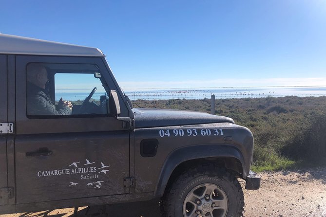 4x4 Camargue Safari 4h - Private Tour - Departure From Arles - Preparing for the Adventure