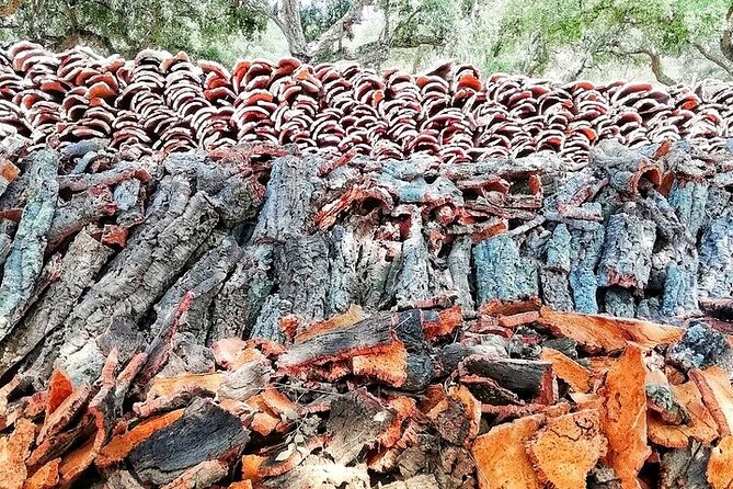 4x4 Cork Tour With Lunch & Wine Tasting - Tour Overview