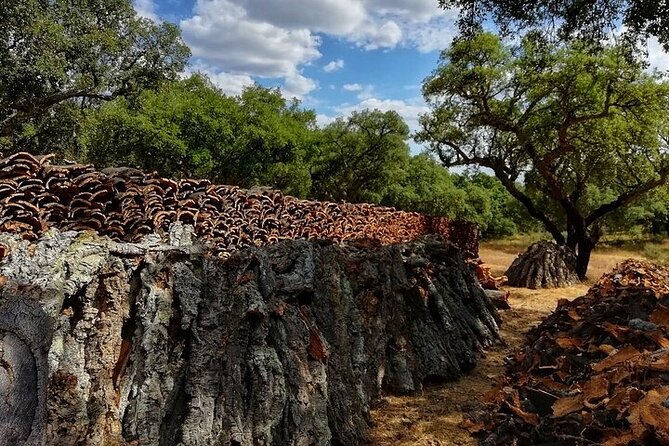 4x4 Cork Tour With Lunch & Wine Tasting - Booking and Pricing Details