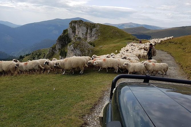 4x4 Driving Experience at Flying Altitudes - 7 Days - Meeting and Pickup Details