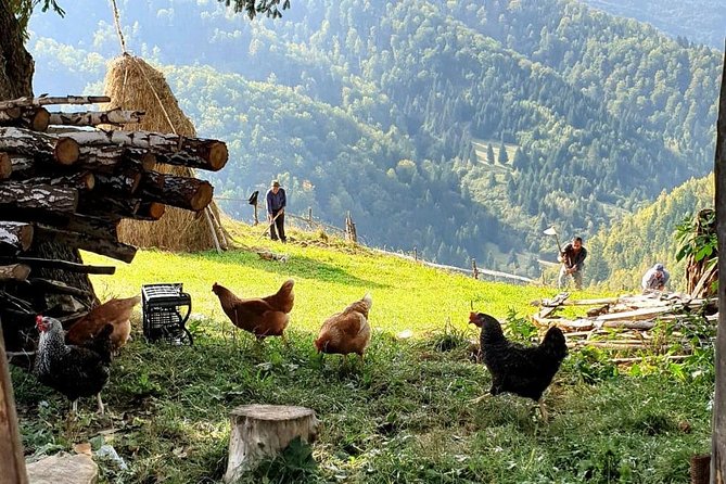 4x4 Driving Experience at Flying Altitudes - 7 Days - Pricing and Booking Details