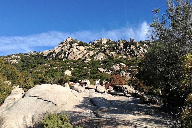 4x4 Excursion Between Mountain and Sea - Highlights of the 4x4 Adventure