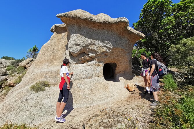 4x4 Excursion Between Mountain and Sea - Traveler Testimonials and Feedback