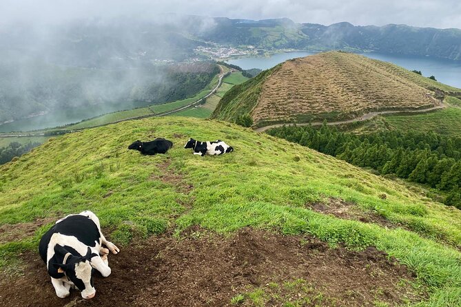 4x4 Half Day - Sete Cidades Tour - Introduction