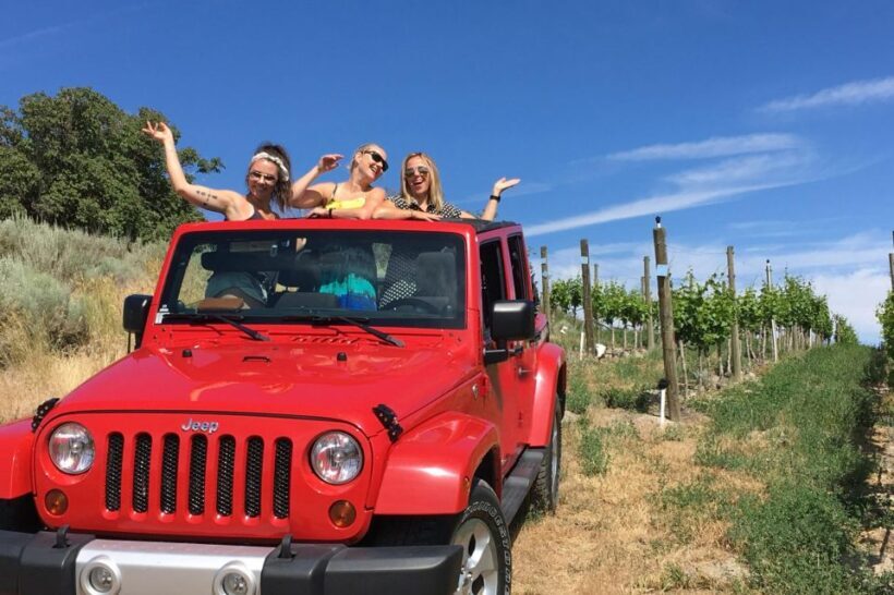 4x4 Jeep Vineyard Safari Tour with Lunch and Wine Tasting - Who Should Consider This Tour?