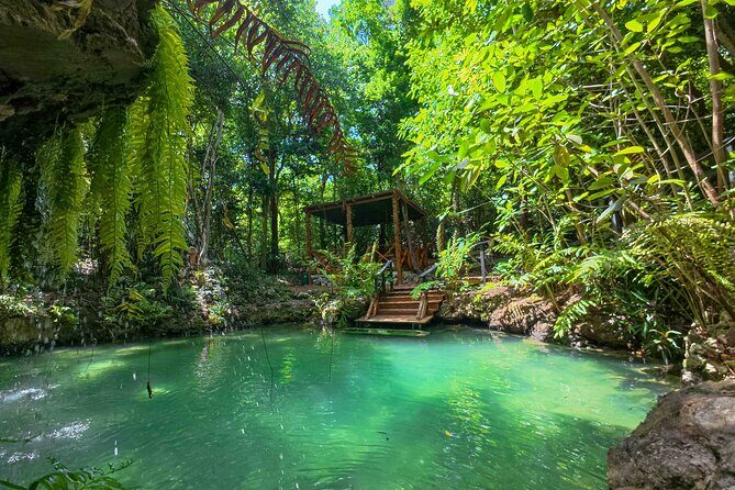 4x4 Jungle Thrills Off Road Buggy Adventure to Cenote and Beach - Key Points