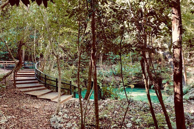 4x4 Jungle Thrills Off Road Buggy Adventure to Cenote and Beach - Exploring the Ecological Reserve and Off-Road Trails