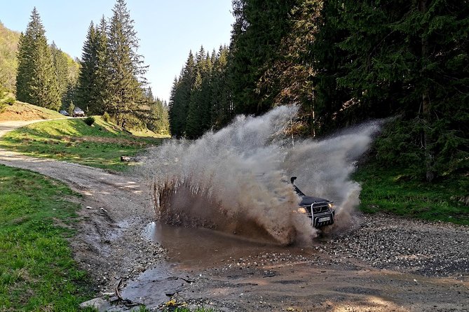 4x4 Nature Tour in Land of Dracula - 1 Day - Important Considerations for Travelers