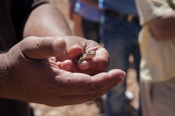 4X4 Safari: Jandía Natural Park and Cofete - Price & Value Analysis