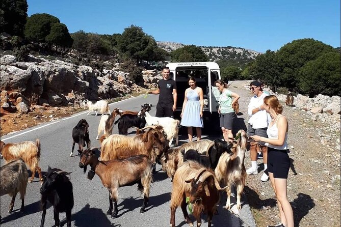 4x4 Safari Tour South Crete Agiofarago Matala - Itinerary Details