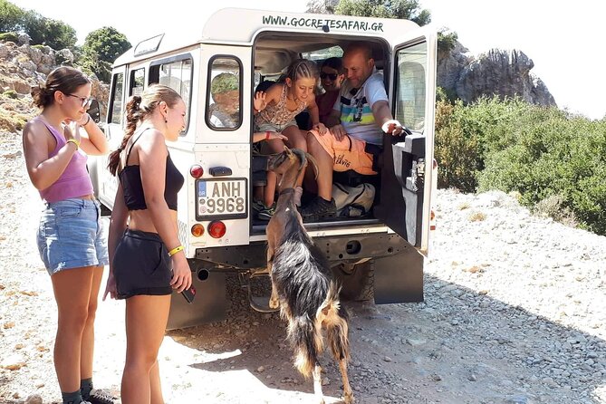 4x4 Safari Tour Southern Crete Tripitis Gorge - Participation Requirements