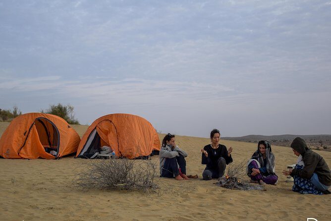 4x4 Thar Desert Safari - The Full Experience: What to Expect on the Tour