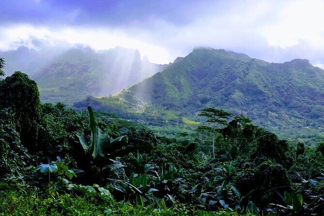 4x4 Tour - Craft and Agritourism Culture in Raiatea - Transportation, Timing, and Practical Details