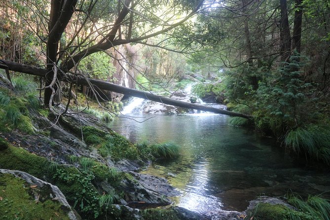 4X4 Tour - Discovering Serra d´ Arga - Value for Money