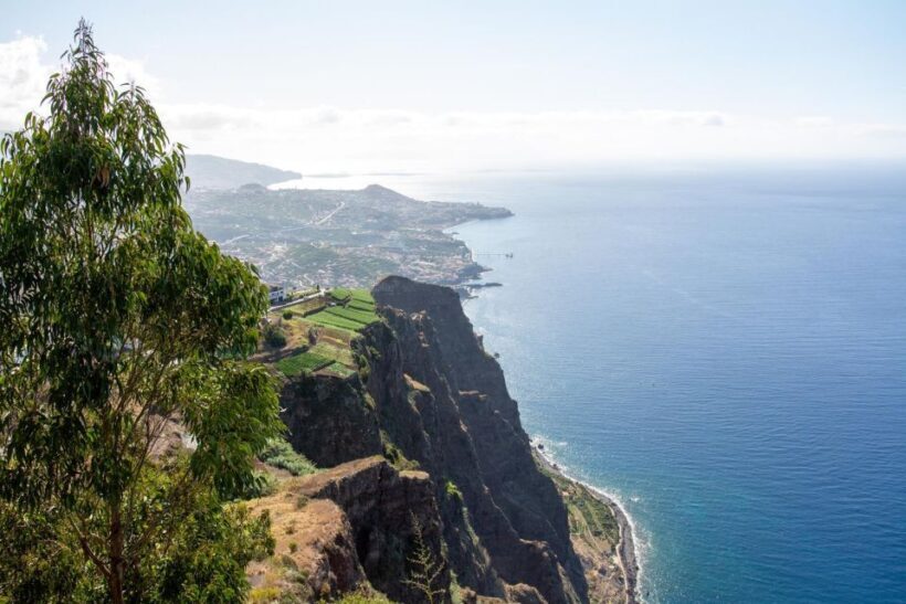 4x4 Tour Half Day Wine Tour - Who Should Consider This Tour?
