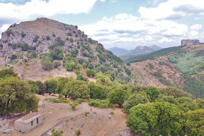 4x4 Tour of Orgosolo: Murals and Typical Lunch at the Shepherds - Tour Participation and Accessibility