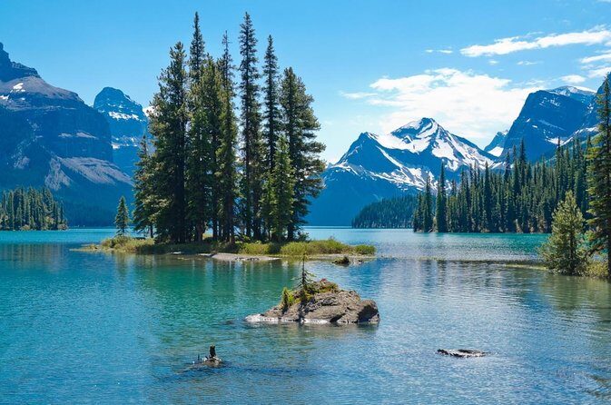 5.5-Hour Jasper Wildlife and Waterfalls Tour with Maligne Lake Cruise from Jasper - A Detailed Breakdown of the Tour Experience