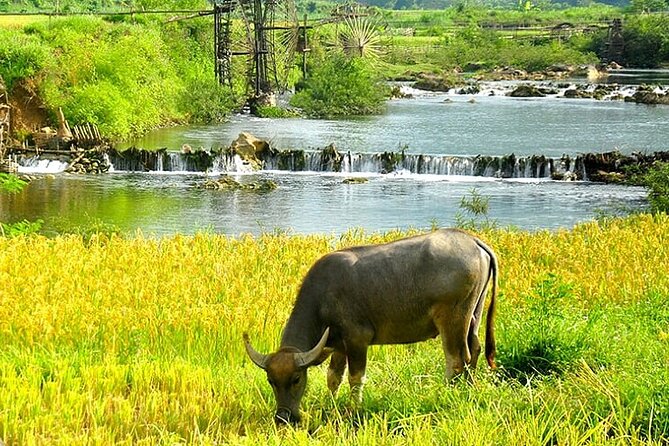 5, 6, 7 day Vietnam Itinerary | Charming | 2025 Northern Packages - First Impressions: What to Expect from the Itinerary