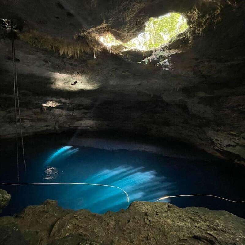 5 Cenotes con comida desde Merida - Who Will Love This Tour?