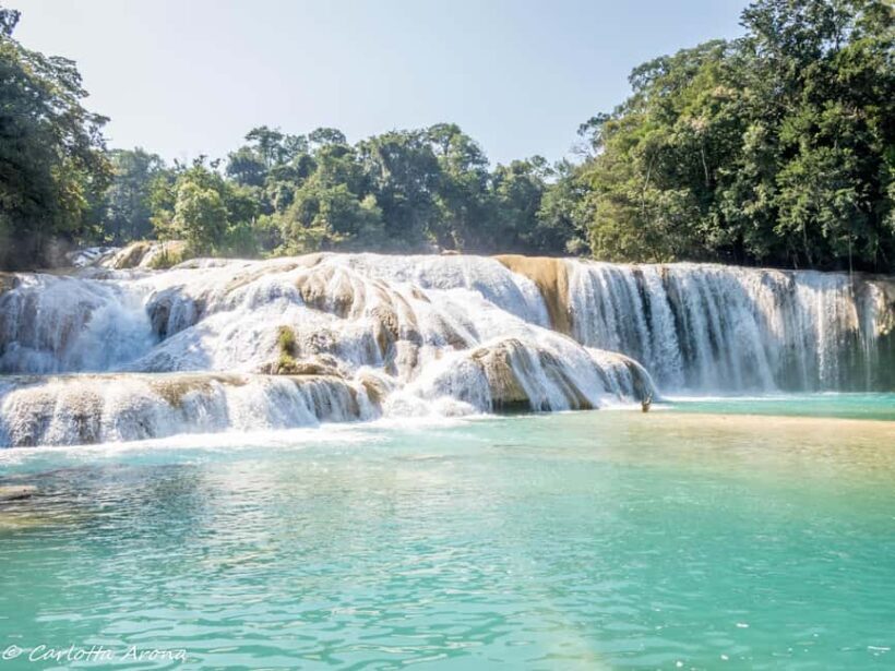 5-day, 4-night "Unforgettable Chiapas" tour (Tuxtla - Villahermosa). - The Sum Up